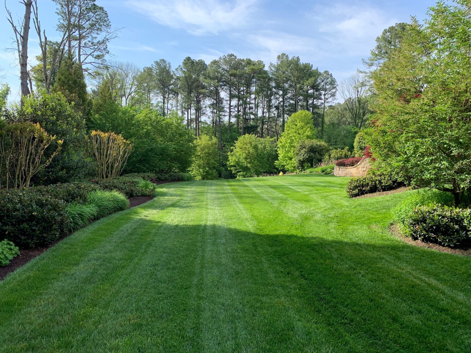 Laying Sod Over Existing Grass | What You Need To Know