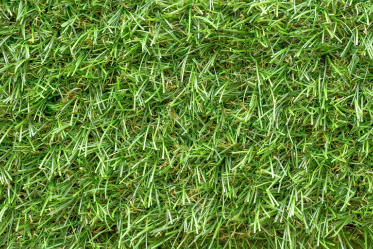 Artificial vs. Real Grass | What You Need To Know